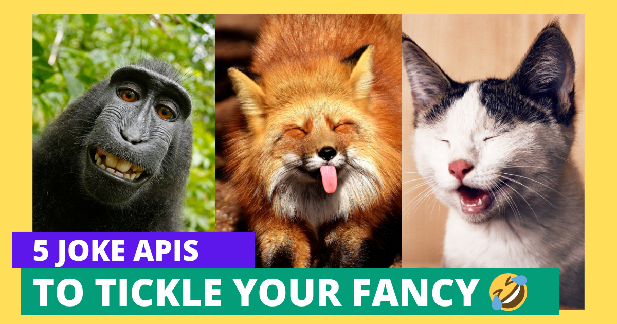 5 Joke APIs to Tickle your Fancy · Kera Cudmore